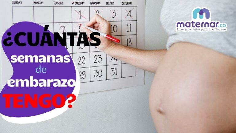 Descubre cómo saber las semanas de embarazo: Guía completa y sencilla ...
