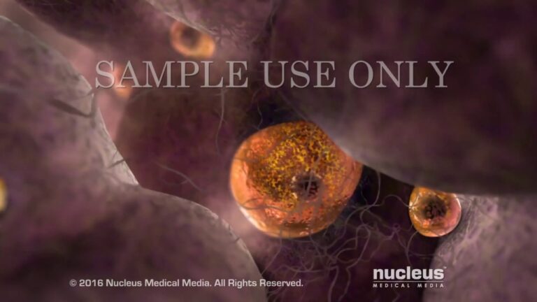 Guía completa: ¿Cómo es el flujo después de la ovulación? Descúbrelo ...