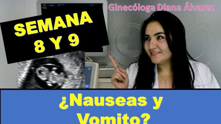 Todo lo que debes saber sobre el eco de 8 semanas de embarazo: Guía ...