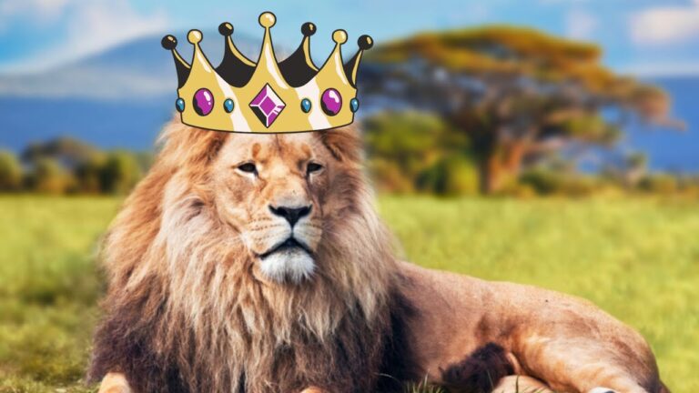 Descubre por qué el león es considerado el rey indiscutible de la selva ...